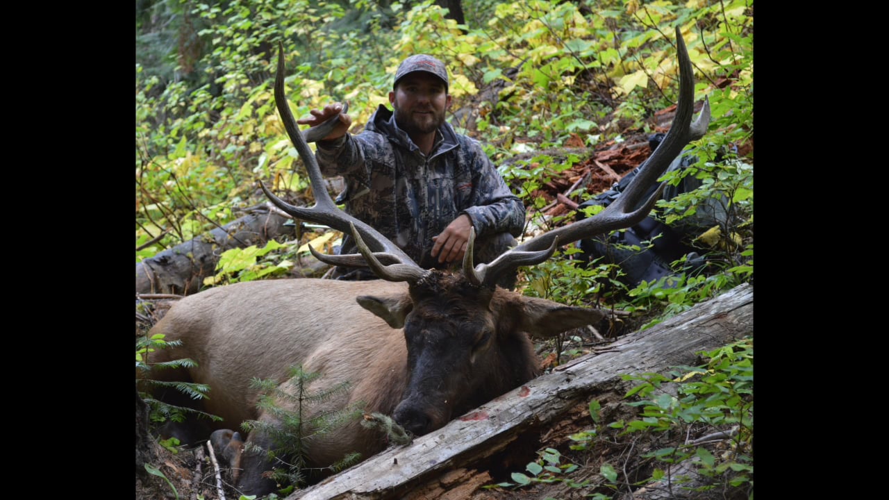 2016 Wenaha Wilderness Archery Elk Hunt on Vimeo
