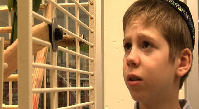 Agent Emes and the Shavuos Trial - teaser scene on Vimeo