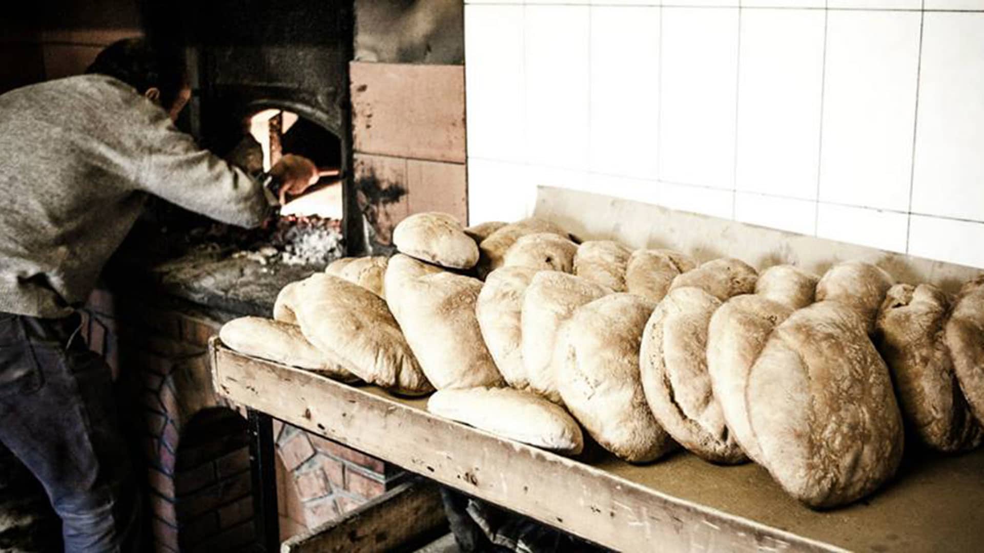 The Nature of Innovation Innovation in Nature on Vimeo