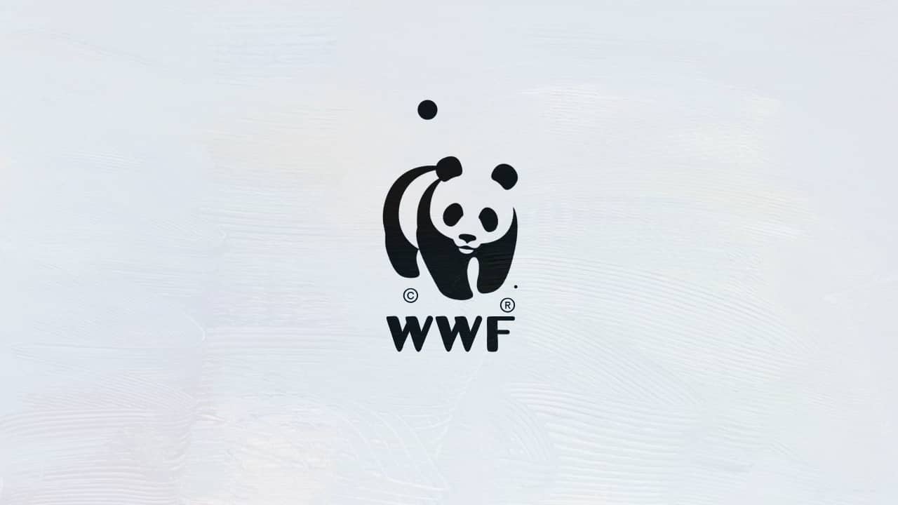 WWF Logo animation on Vimeo