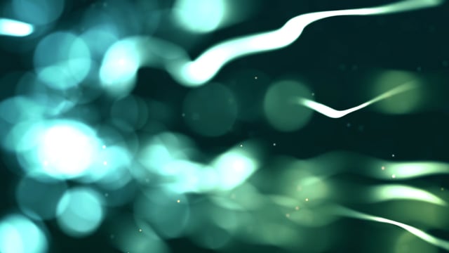 500+ Free Particle & Particles Videos, HD & 4K Clips - Pixabay