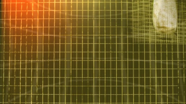 Fingerprint Videos: Download 4+ Free 4K & HD Stock Footage Clips - Pixabay