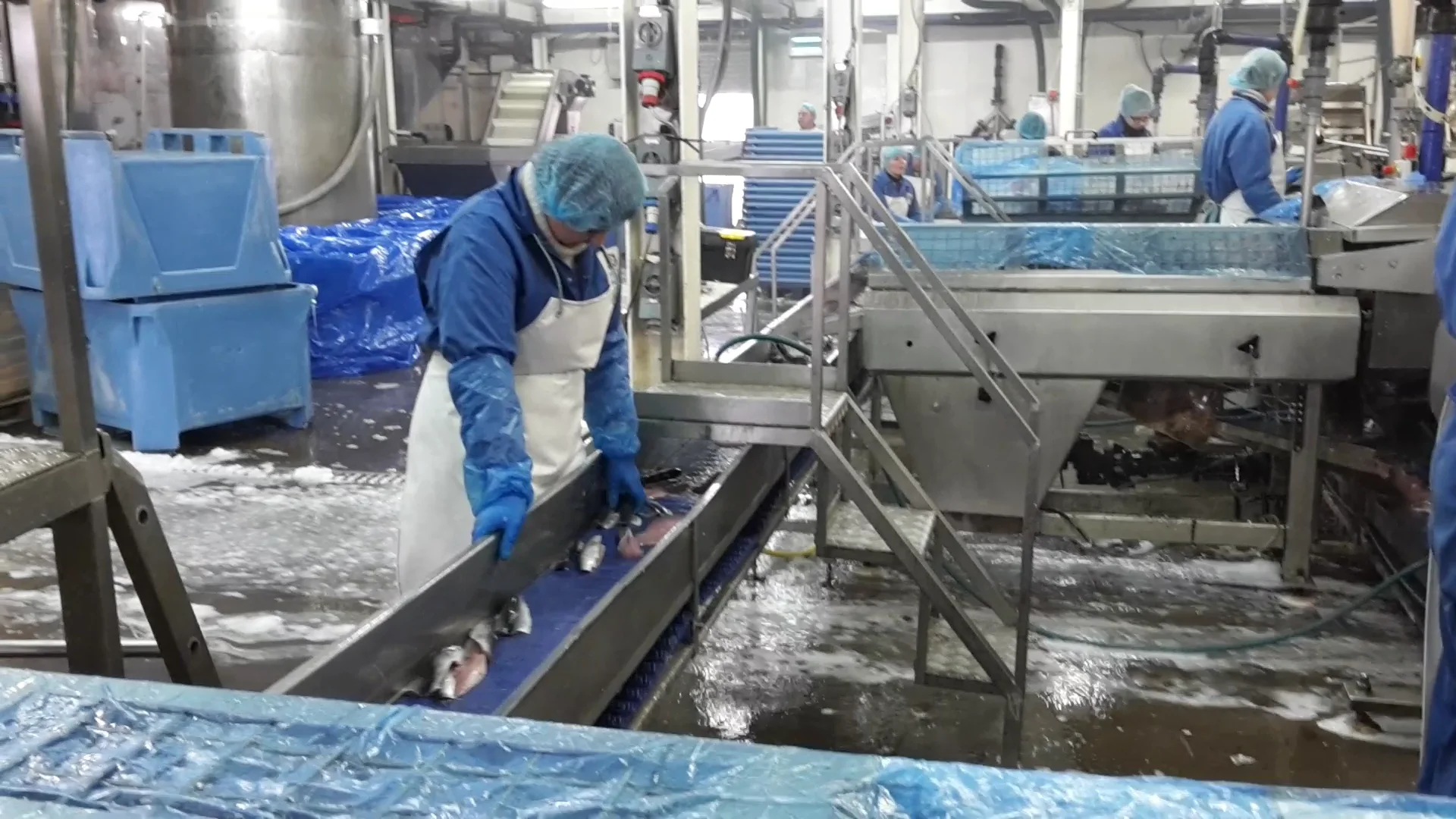 VMK Filleting lines (A) on Vimeo