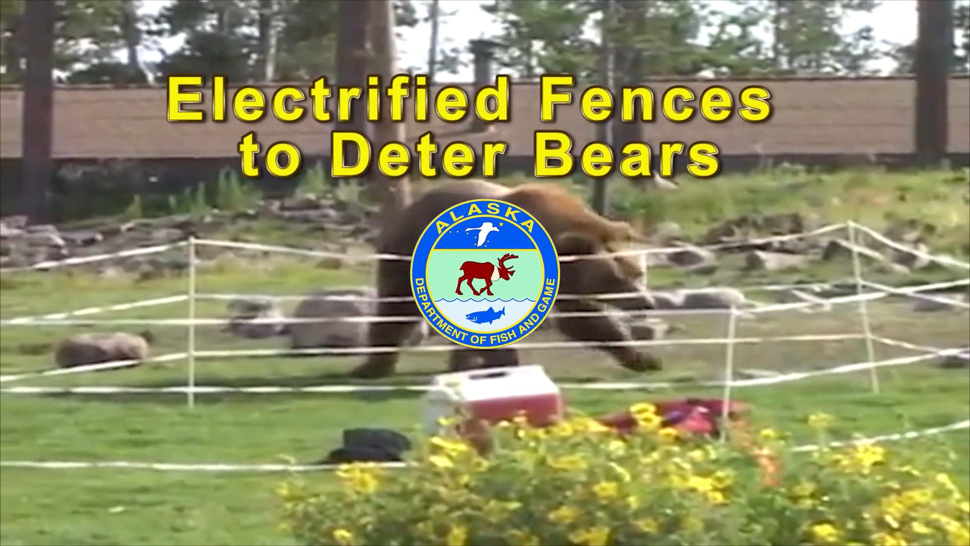 Backcountry Electric Fences as a Bear Deterrent (for remote camps or ...