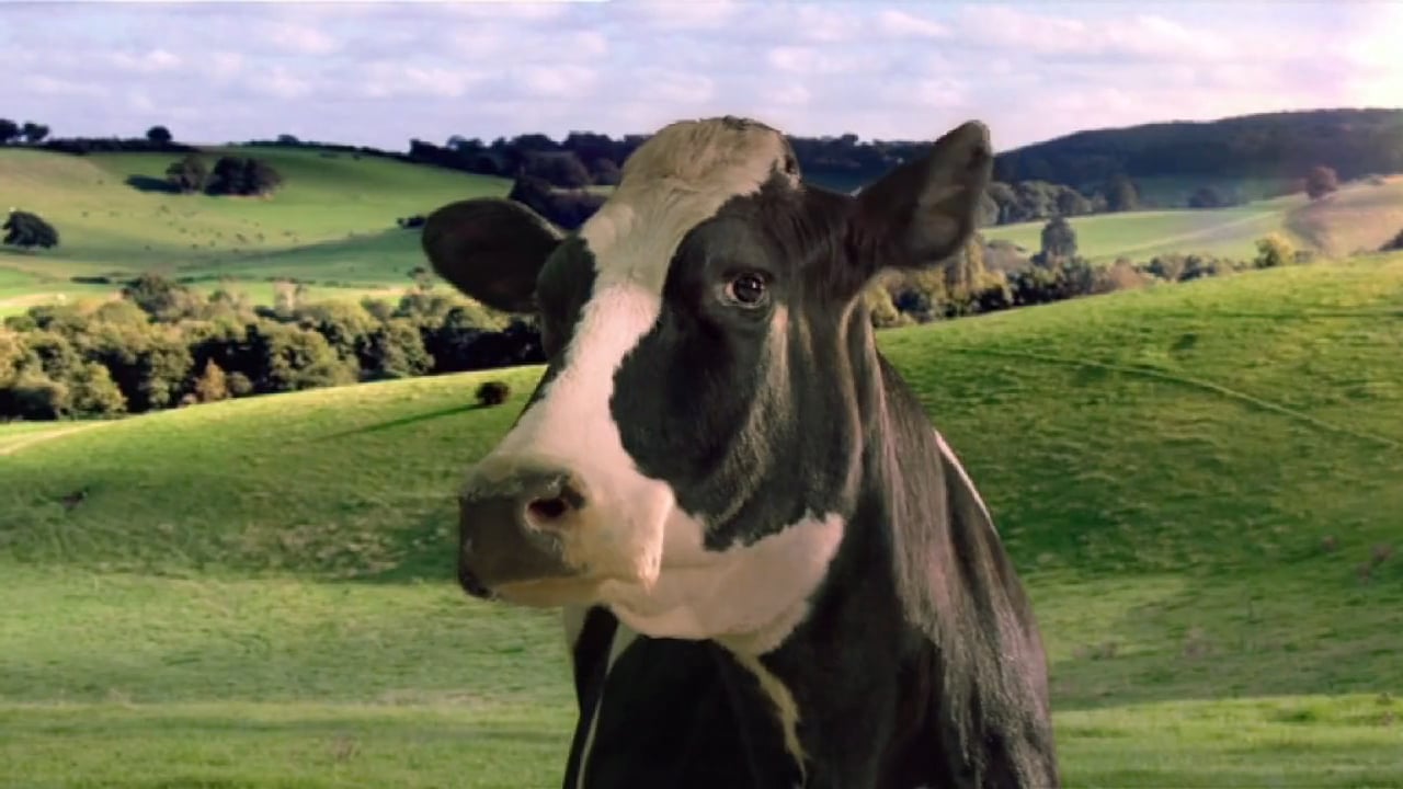 Babybel Cow on Vimeo