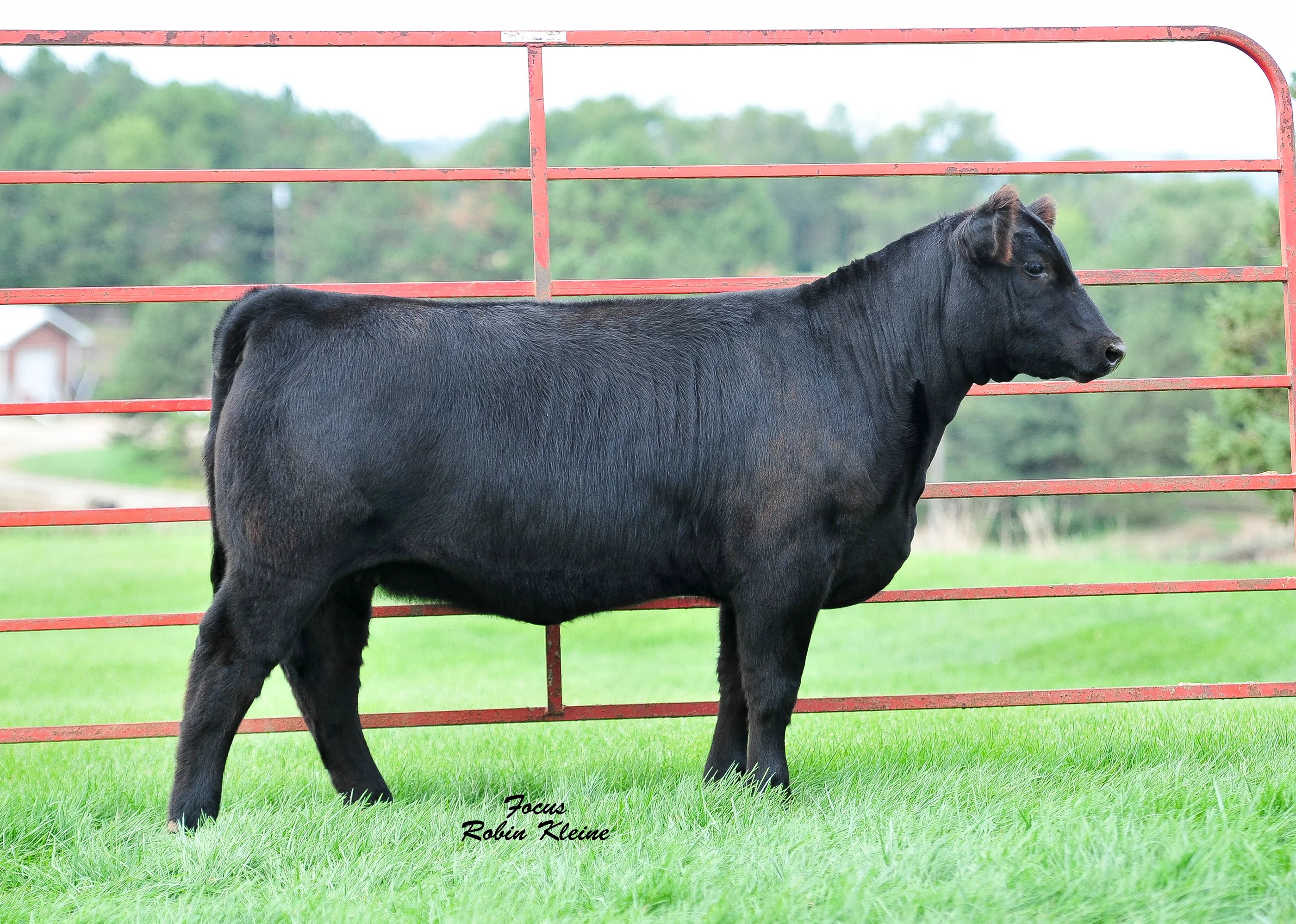 Lazy H Bar Oct 16 Tag 85D on Vimeo