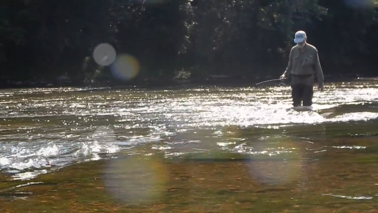 Docs 4 Docs - John Herr | Unlocking the poetry in science on Vimeo