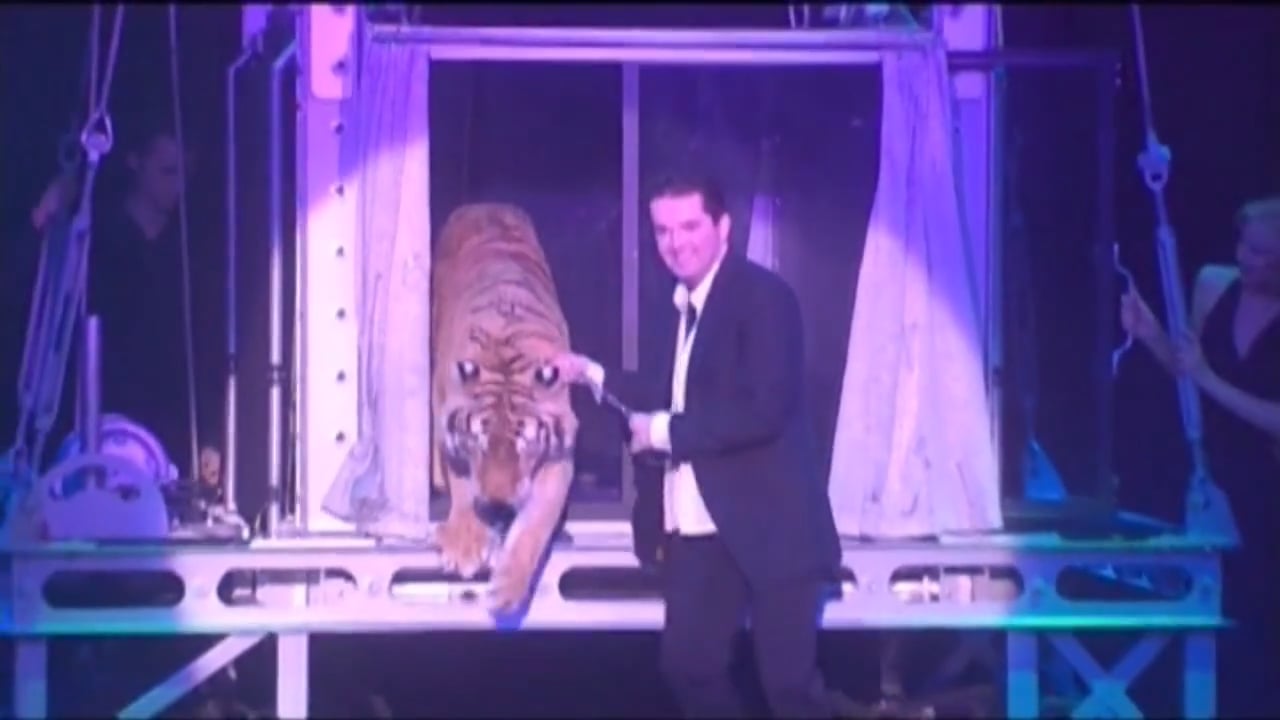 Dirk Arthur Wild Magic - DIRK ARTHUR WILD MAGIC 2016 on Vimeo