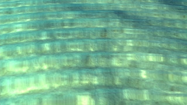 100+ Free Clean Water & Water Videos, HD & 4K Clips - Pixabay