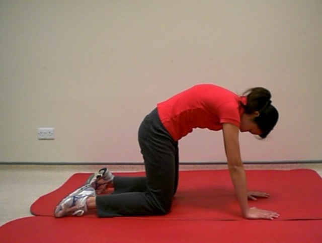 Angry Cat Stretch on Vimeo