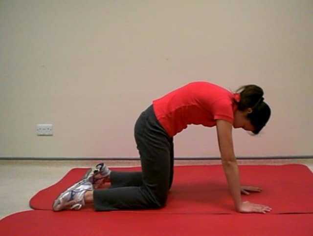 Angry Cat Stretch on Vimeo