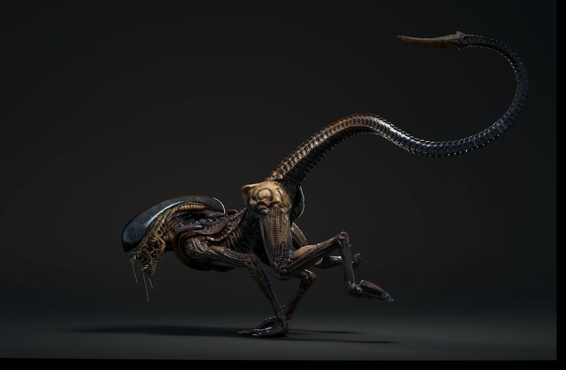 alien turntable on Vimeo