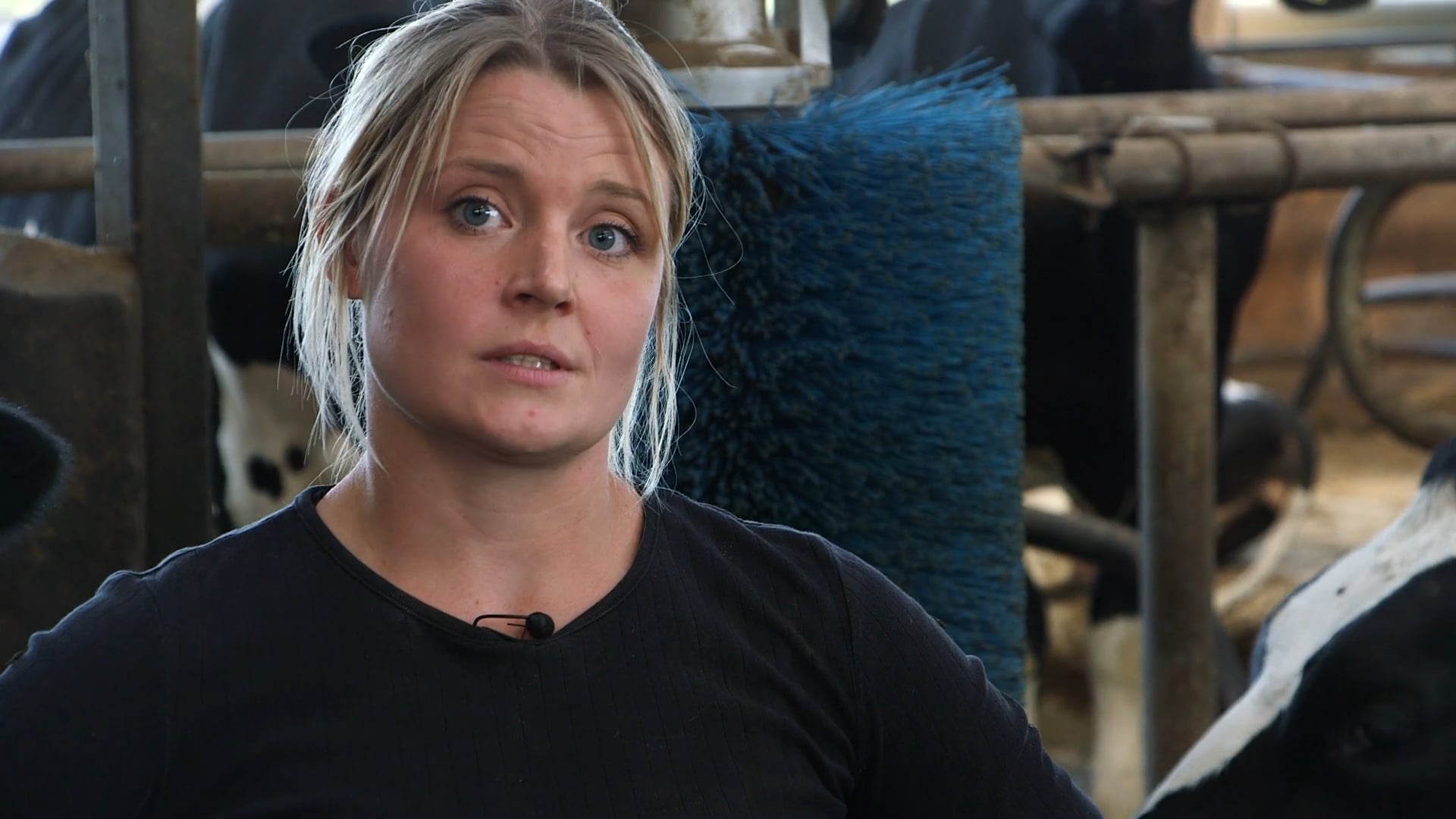 connie Linde ung landmand kandidat on Vimeo