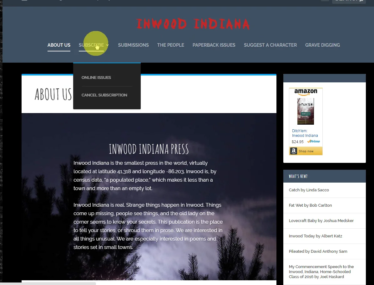 Where to enter coupon code on Vimeo