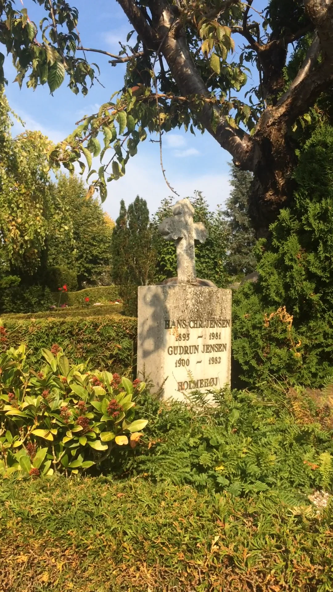 Magnus 7c film on Vimeo