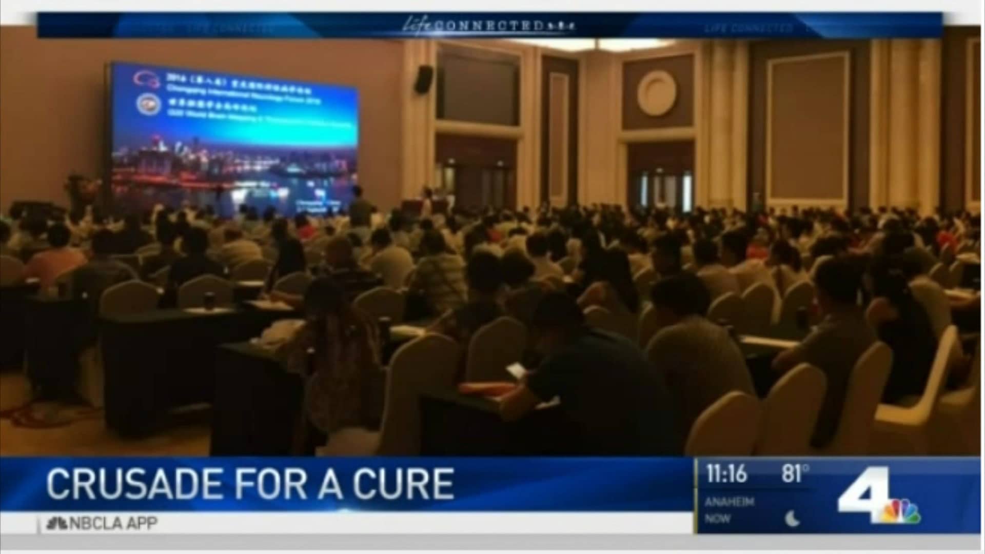 Dr. Babak Kateb, MD: Crusade for a Cure Interview NBC News on Vimeo