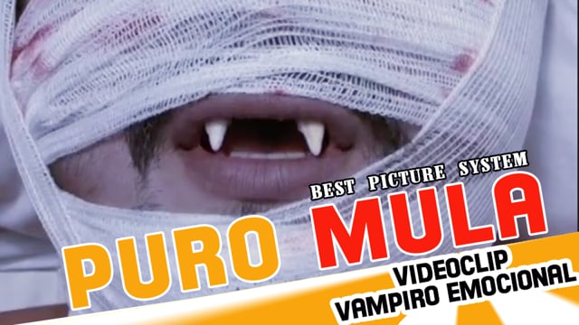Puro Mula on Vimeo