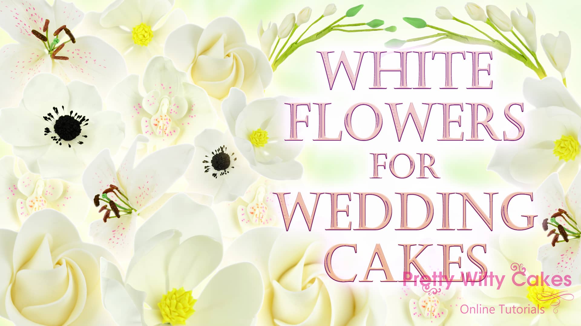 PWC-475 - PREVIEW on Vimeo