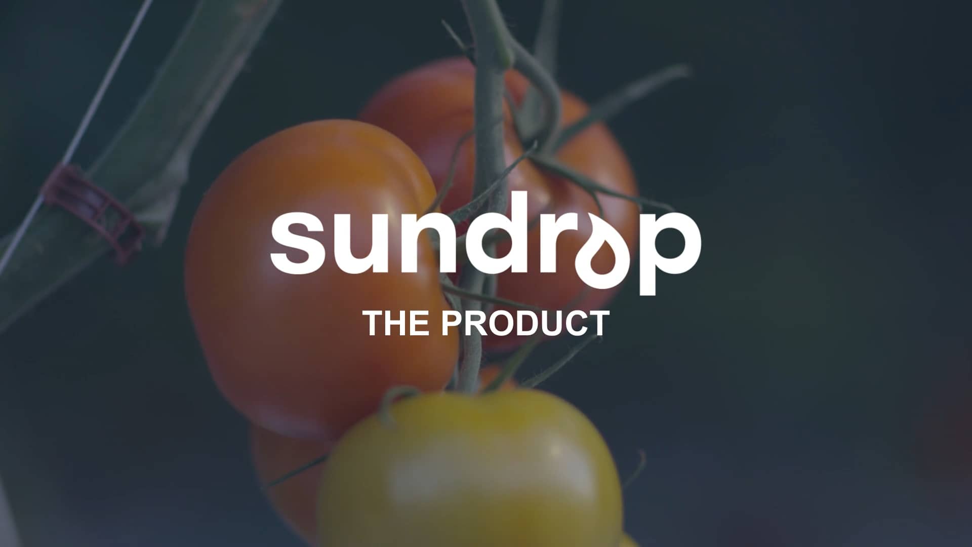 Sundrop - The Produce on Vimeo