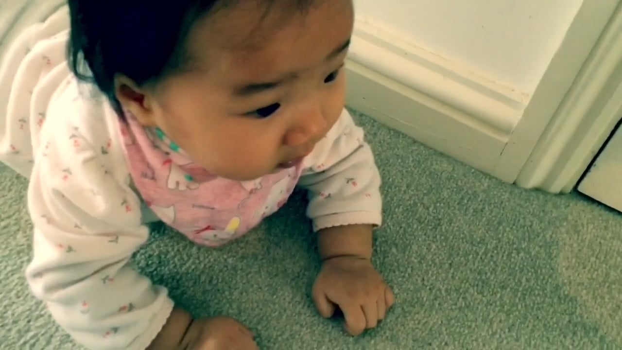 Isabella wants Toby's Bone (2014) on Vimeo