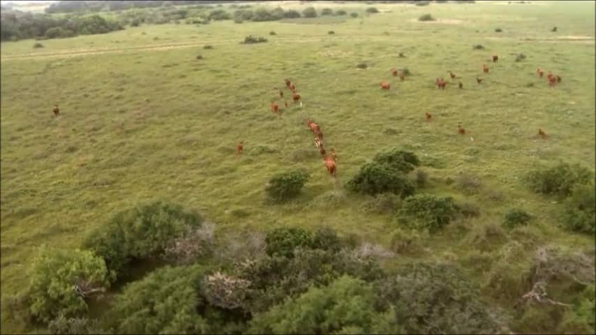 King Ranch Video on Vimeo