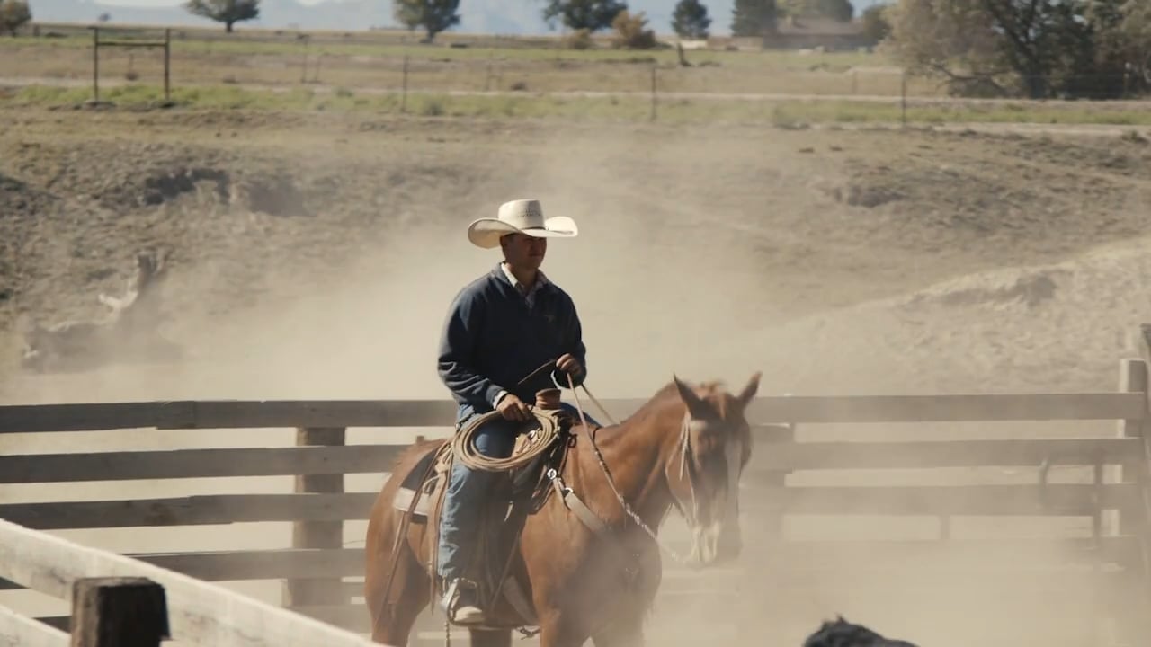 Life Change: Austin Knisley on Vimeo