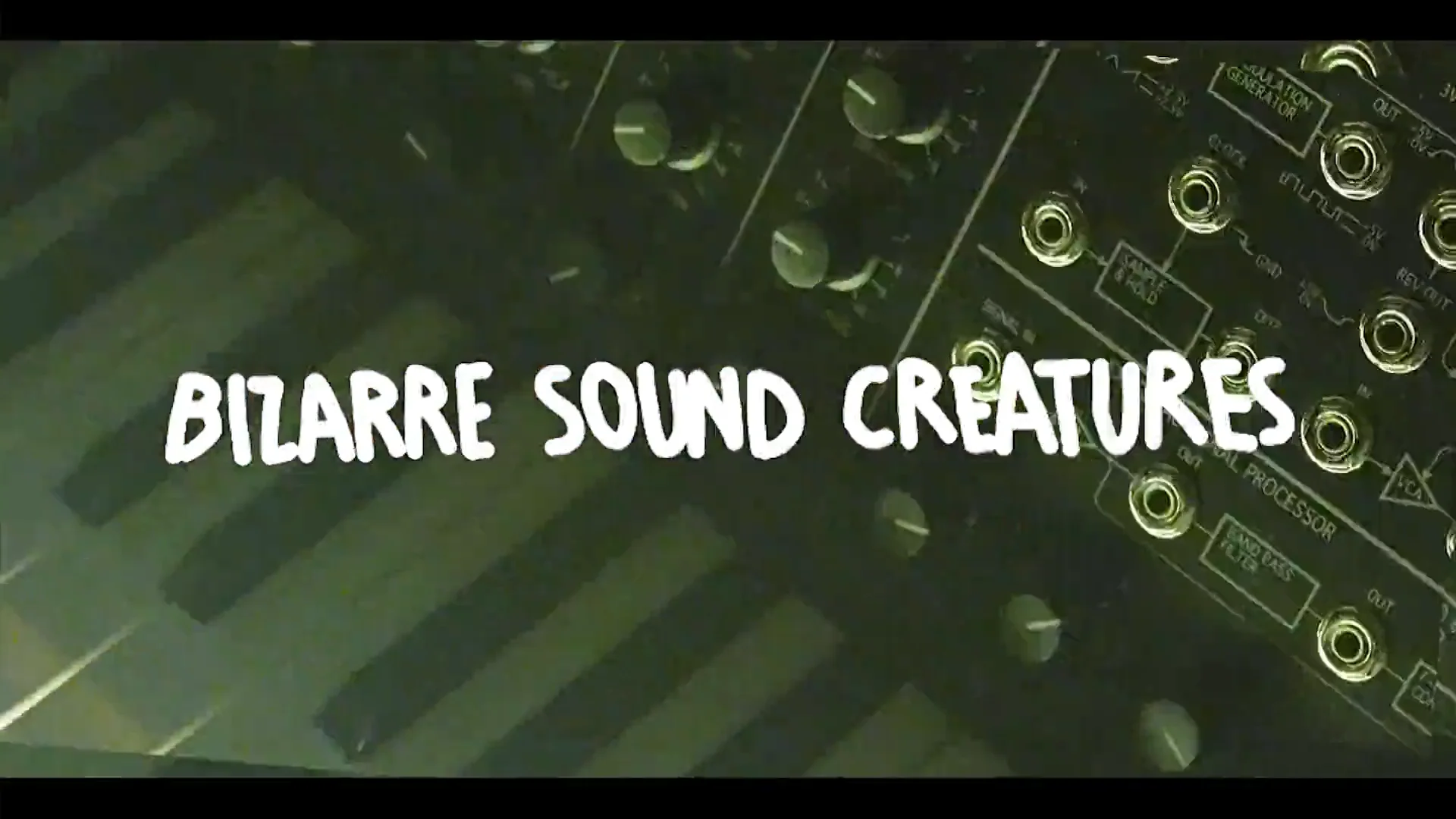 Bizarre Sound Creatures 2016 - Teaser on Vimeo