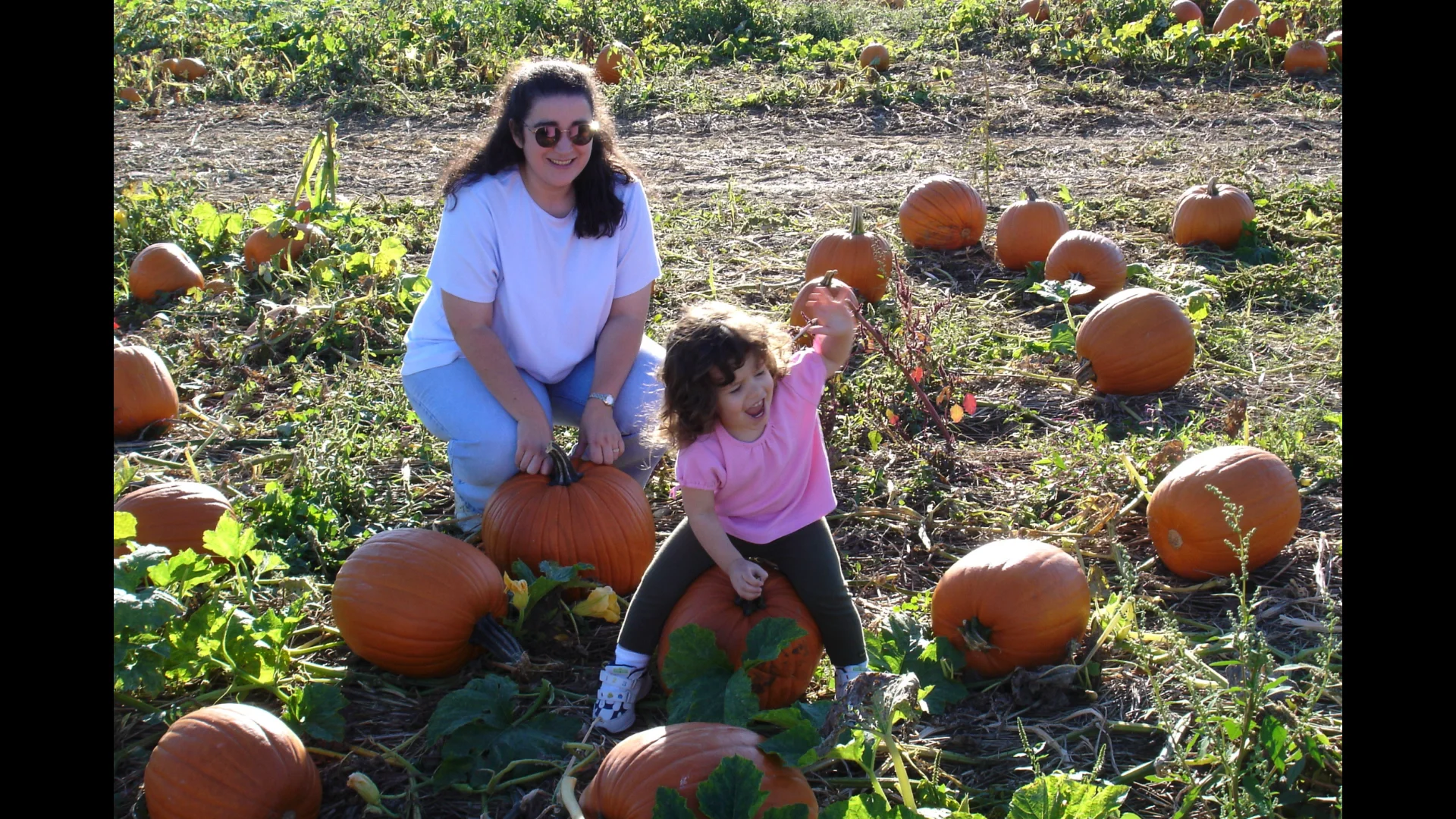 Pumpkin Patch Tradition on Vimeo