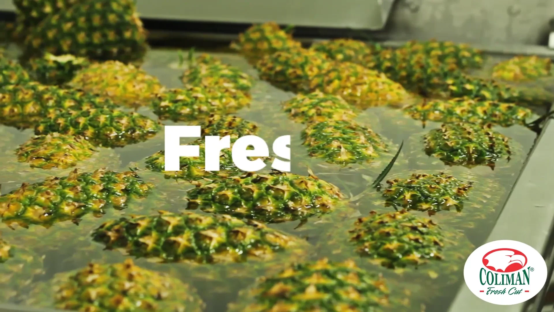 Coliman Fresh Cut - Terminado (audio completo) on Vimeo