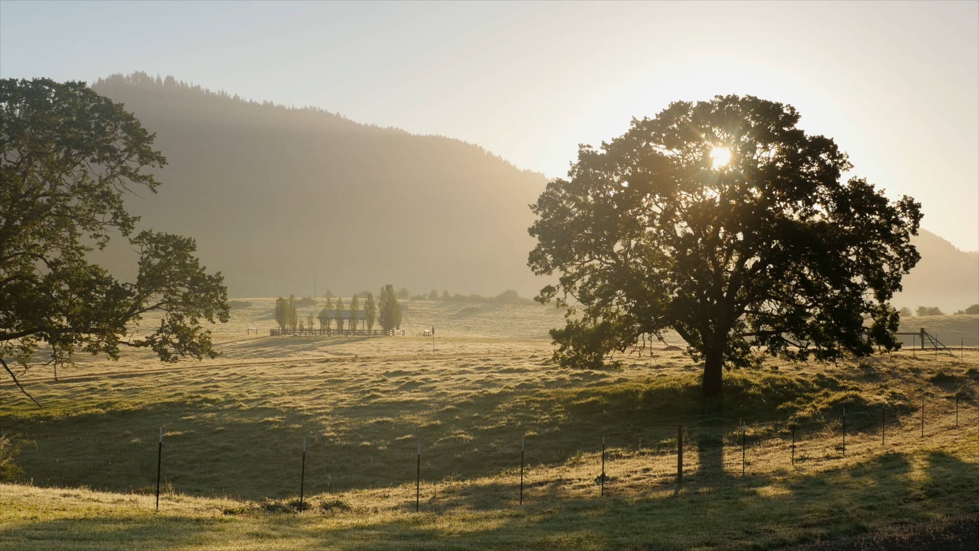 Mildred Kanipe Memorial Park on Vimeo