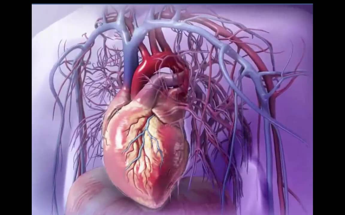 OMI-Heart Overview on Vimeo