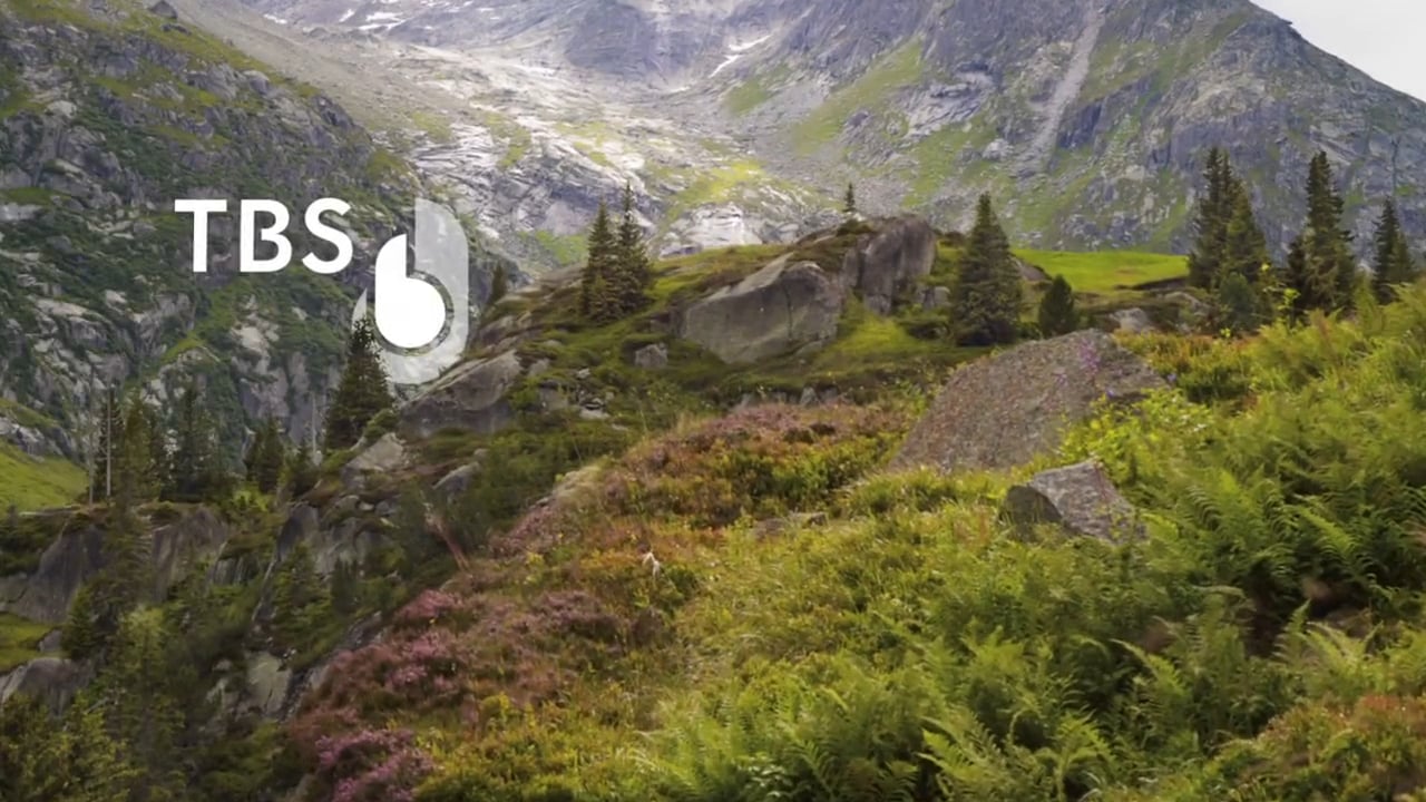 TBS – Touchless Biometric Systems on Vimeo