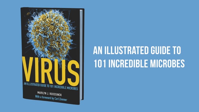 Virus | Princeton University Press