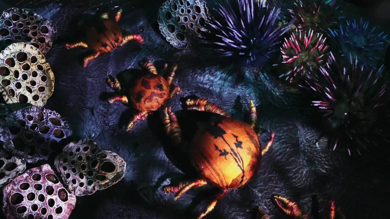 "Bounce Bounce" by Hilary Hahn and Hauschka on Vimeo