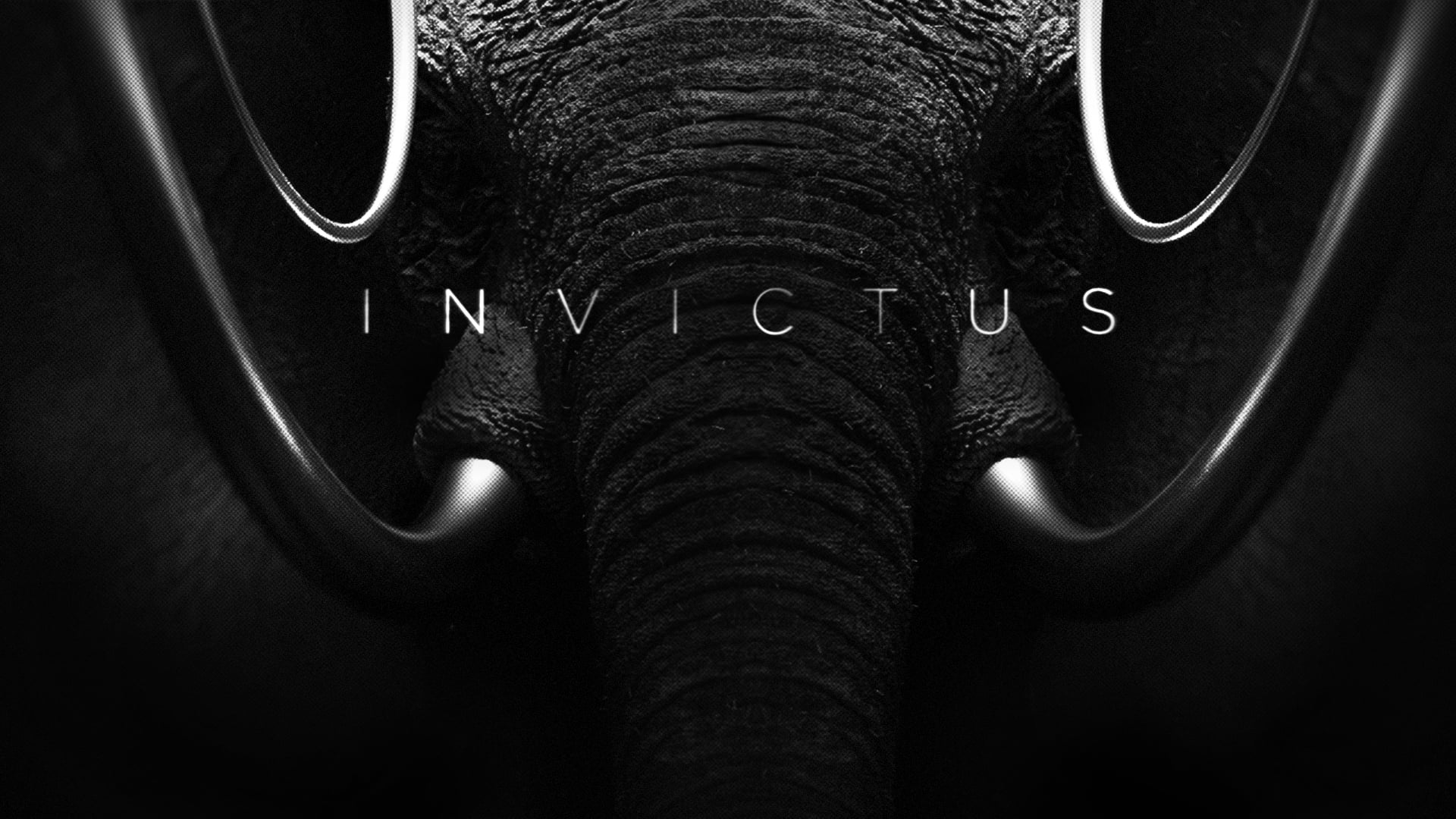 INVICTUS on Vimeo