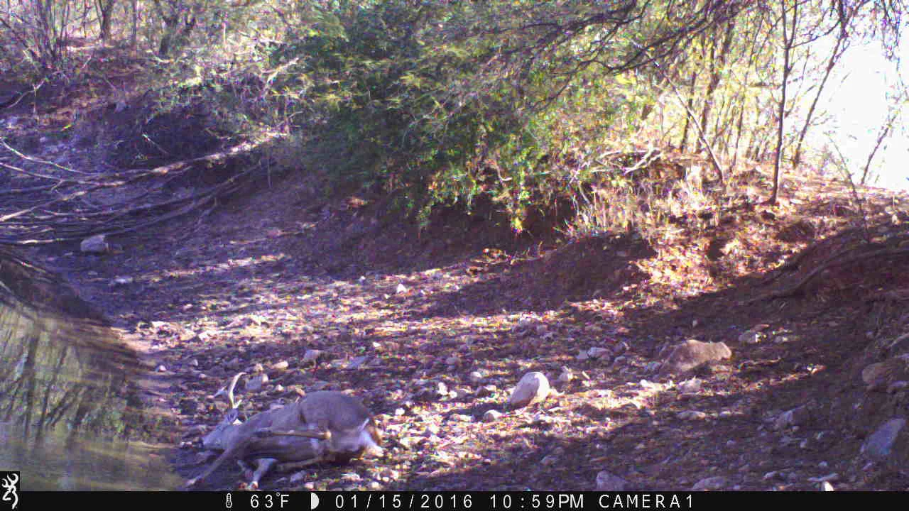 tim maddock video 2 on Vimeo