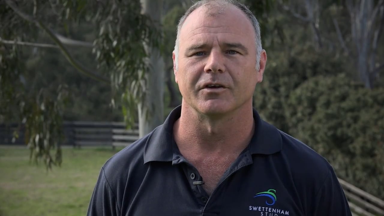 We Are Swettenham - Jason on Vimeo