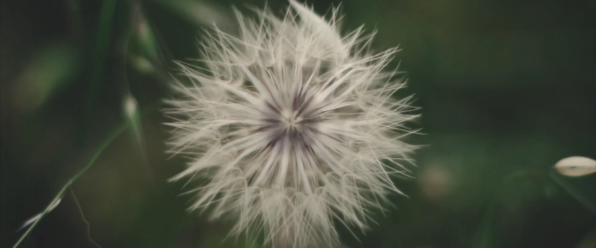EOS-M Magic Lantern EOSHD C-Log test on Vimeo