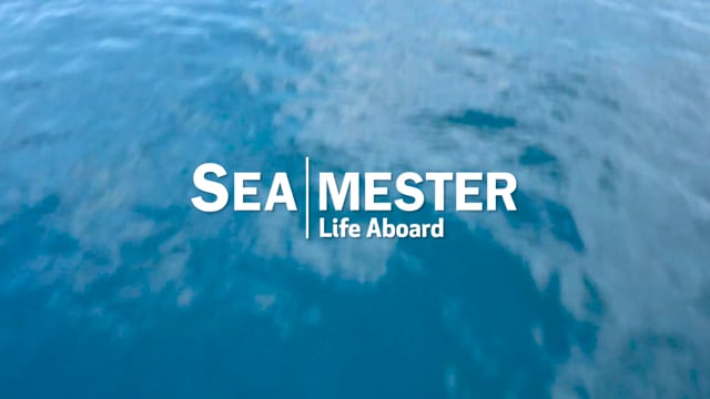 Sea|mester on Vimeo