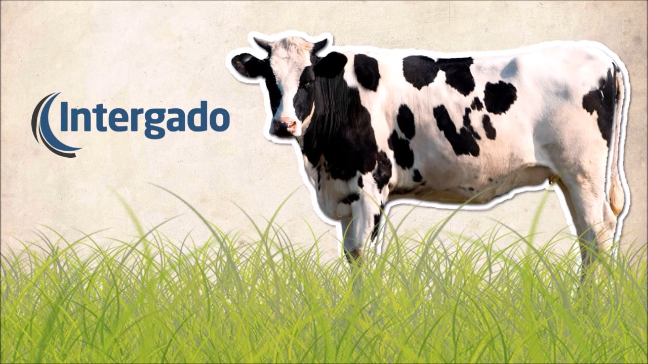 Apresentação Intergado on Vimeo