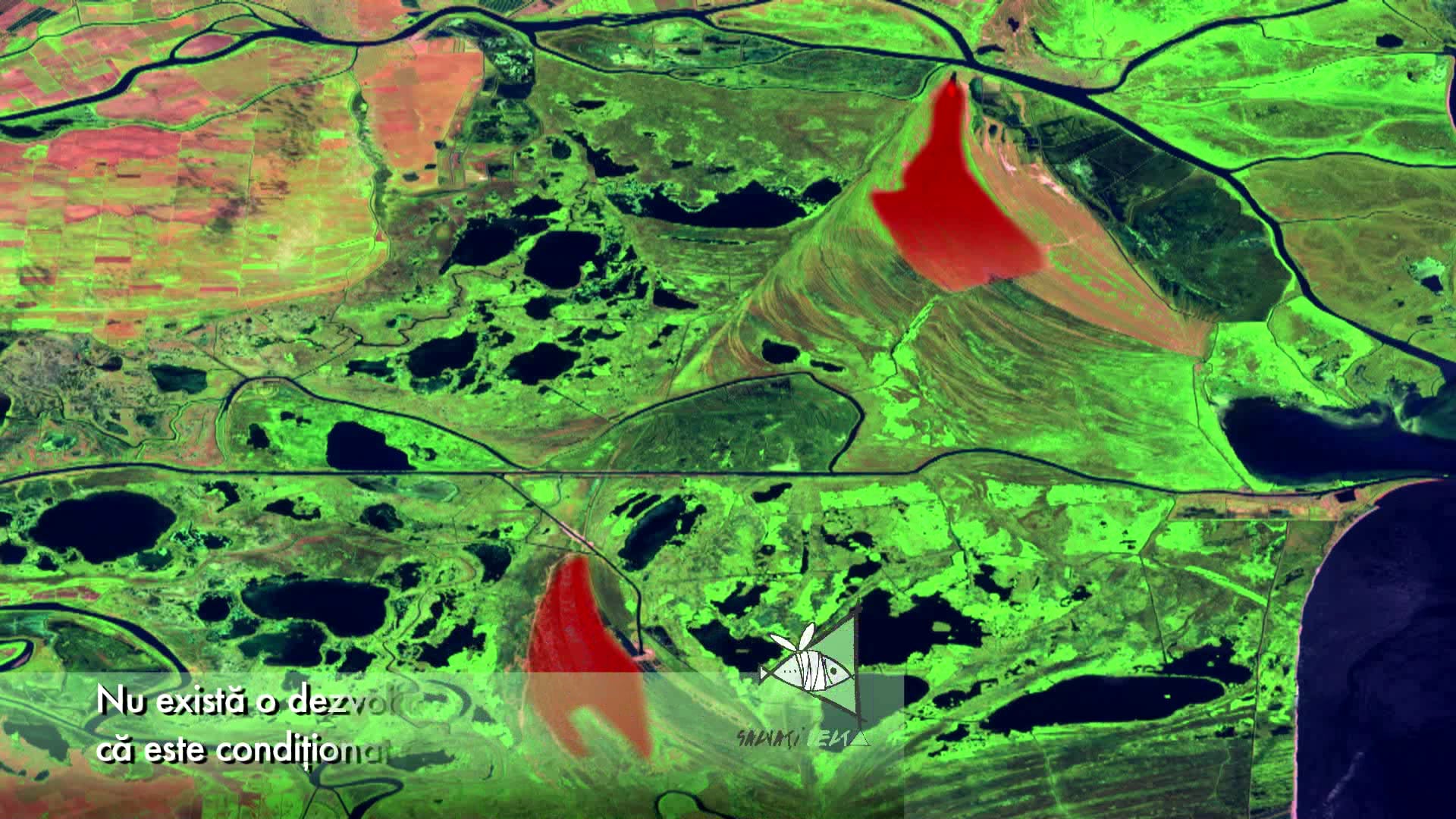 Despre Vegetatie forestiera ponto - sarmatica cu stejar pufos Delta ...