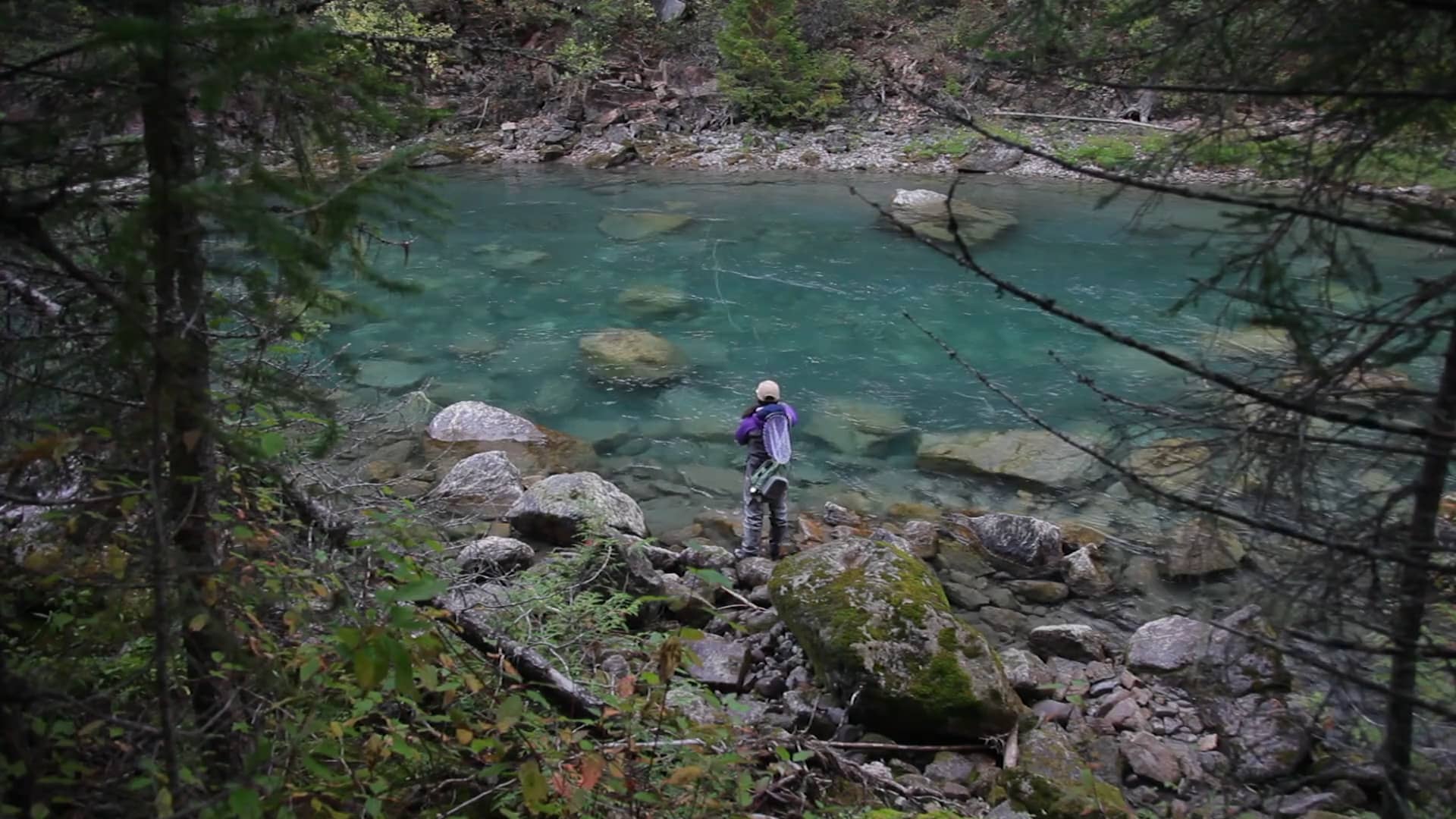 Some Kind of Exotic on Vimeo