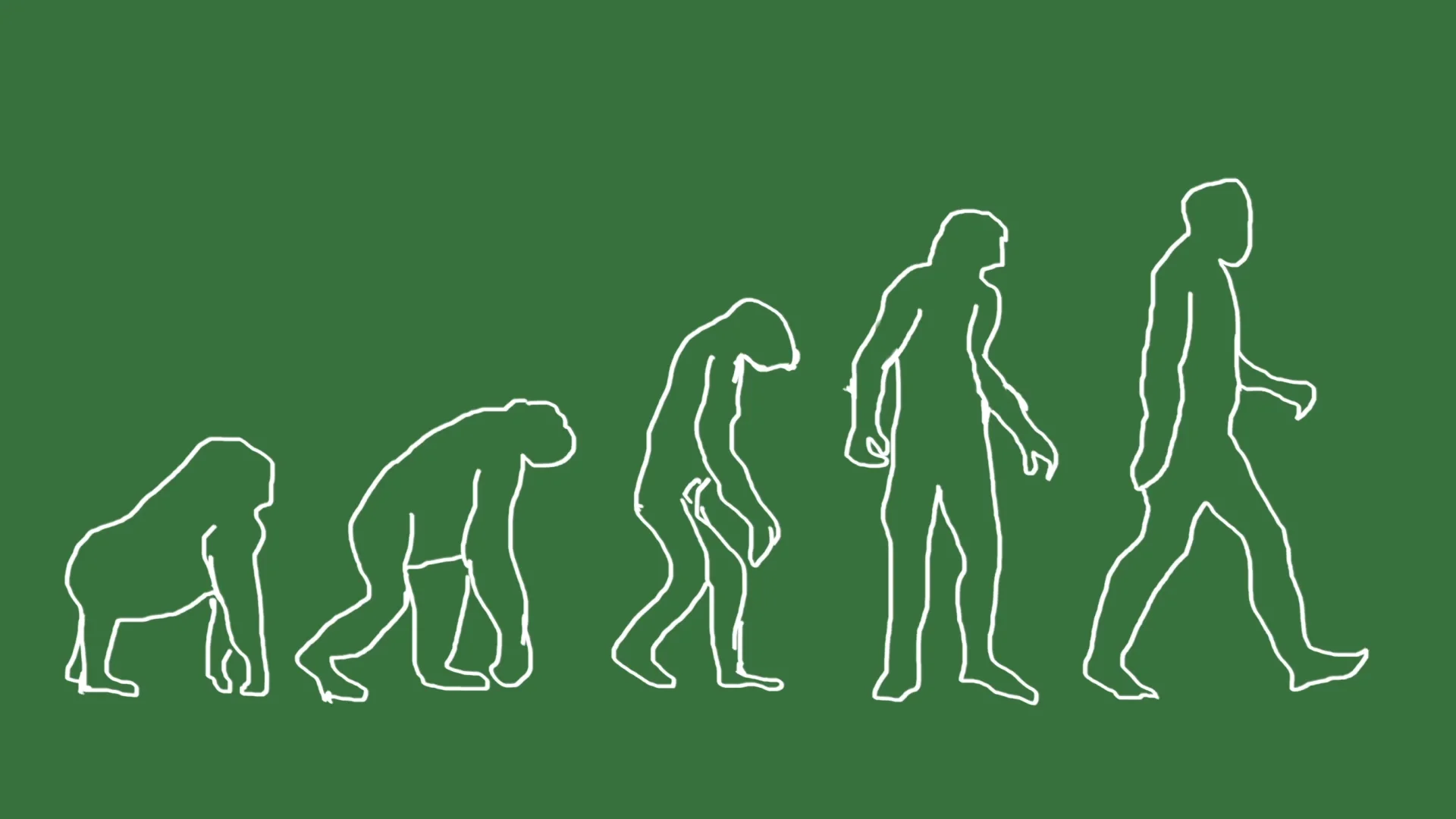 Sex As An Algorithm On Vimeo 