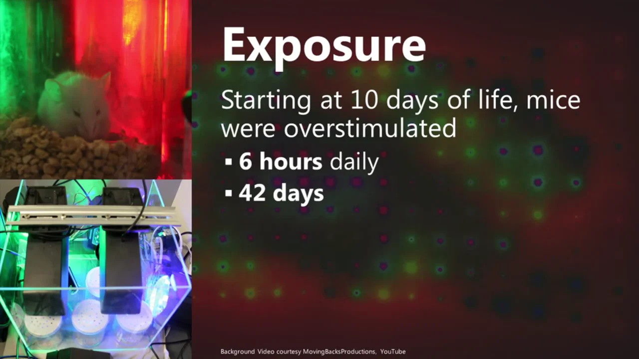 TEDxRainier - Dimitri Christakis - Media and Children Edit 2 on Vimeo