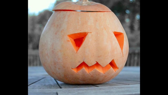 Pumpkin, Squash, Halloween. Free Stock Video - Pixabay