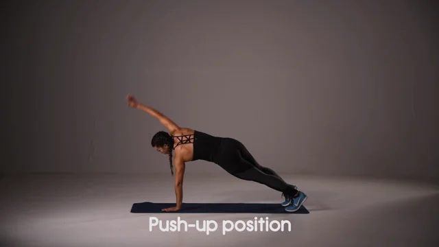 Hip Twist In Plank Hip Twist In Plank