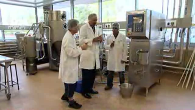 Testing omega-3 enriched ice cream — Science Learning Hub
