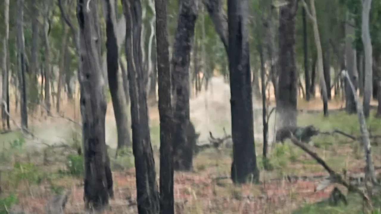 Grunter Hunter Championships #8