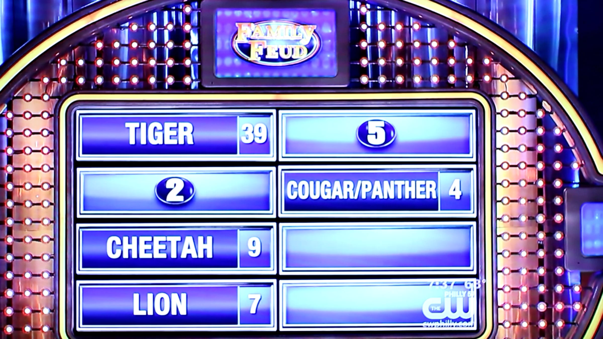 The Scaffidi Family Feud