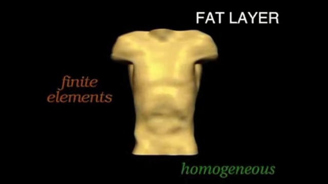 The human torso — Science Learning Hub